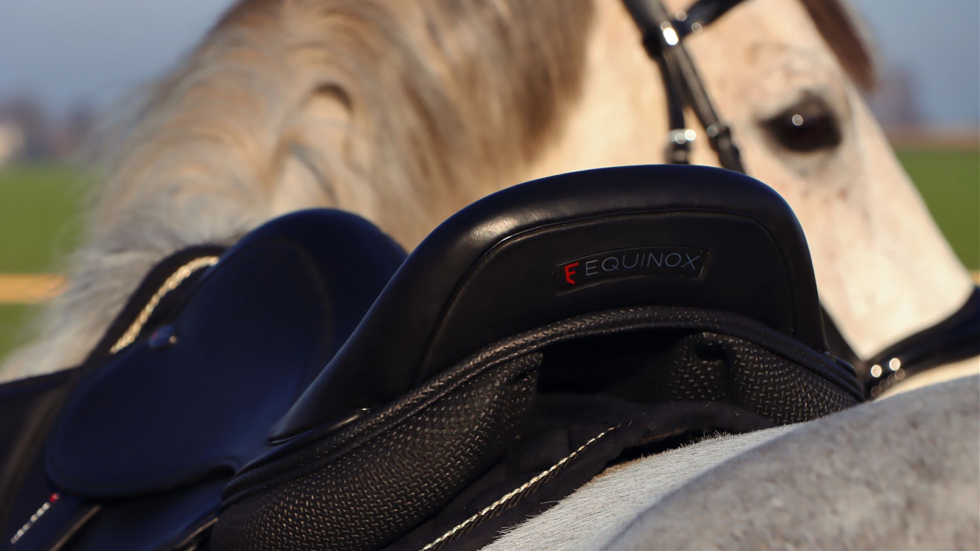 Dystrybucja - Equinox